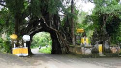 Guide Complet pour visiter le Nord-Ouest de Bali | lebaliblog